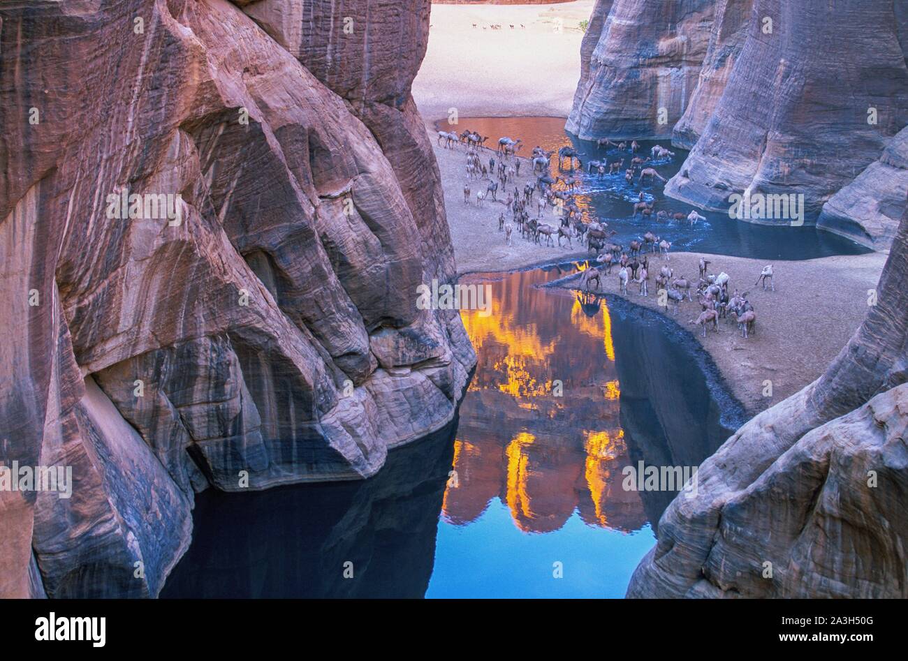 Chad, Ennedi, Sahara, Guelta d'Archei in the Ennedi Massif Stock Photo ...