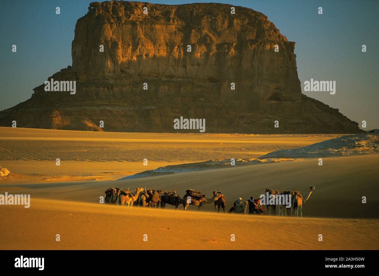 Chad, Ennedi, Sahara, Caravan, depression of the Mourdi Stock Photo - Alamy