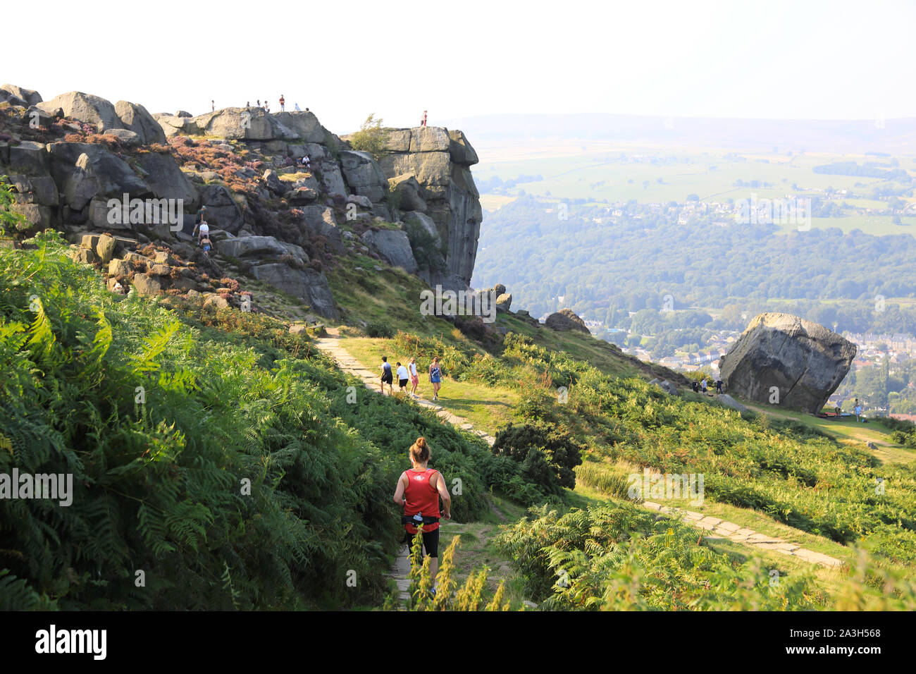Ilkley moors cow and calf hi-res stock photography and images - Alamy