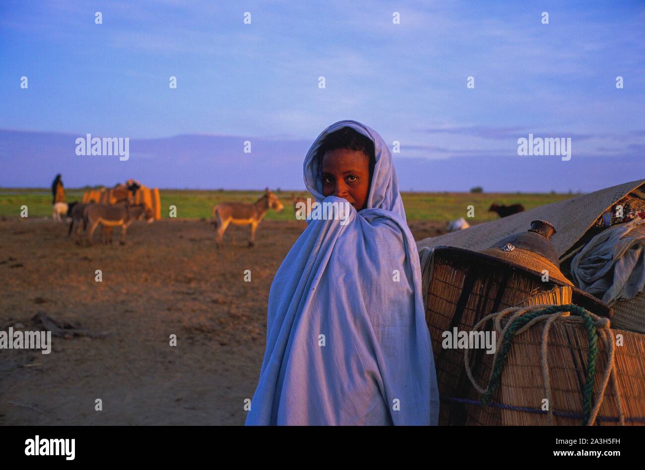 Gao tree niger hi-res stock photography and images - Alamy