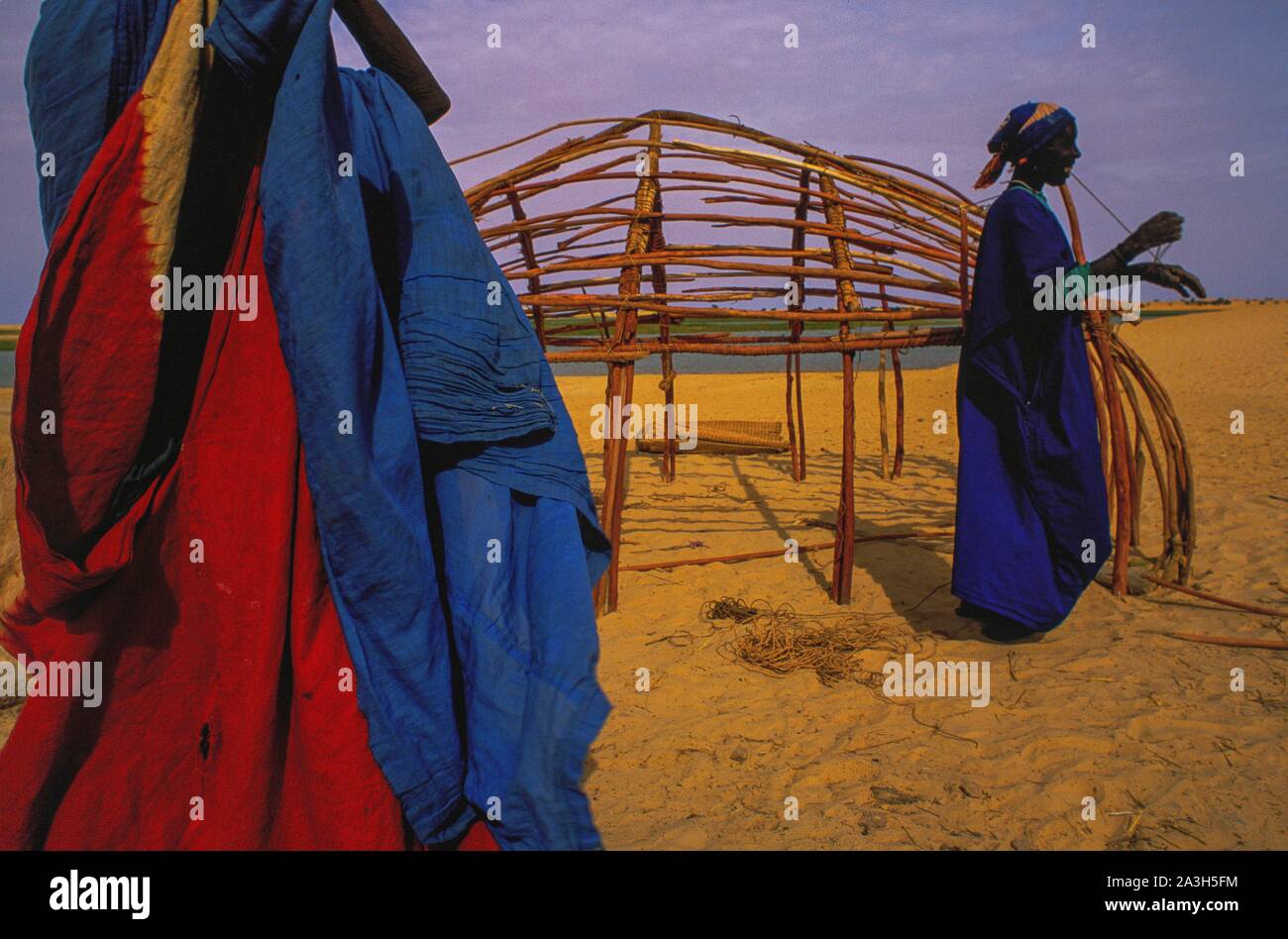 Gao tree niger hi-res stock photography and images - Alamy