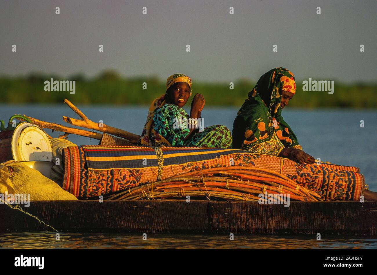 Gao tree niger hi-res stock photography and images - Alamy