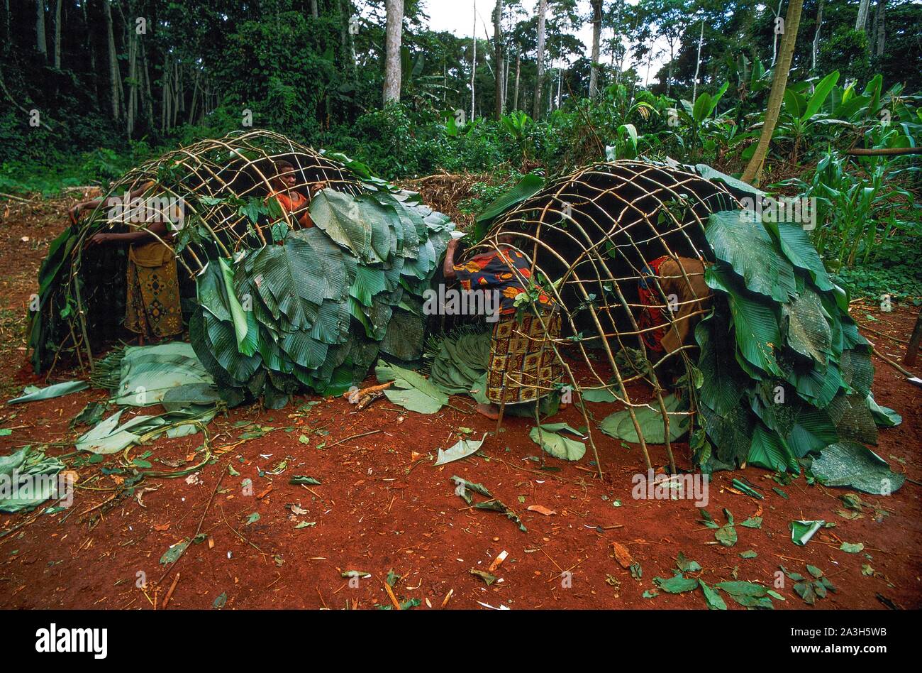 Baka pygmies hi-res stock photography and images - Alamy