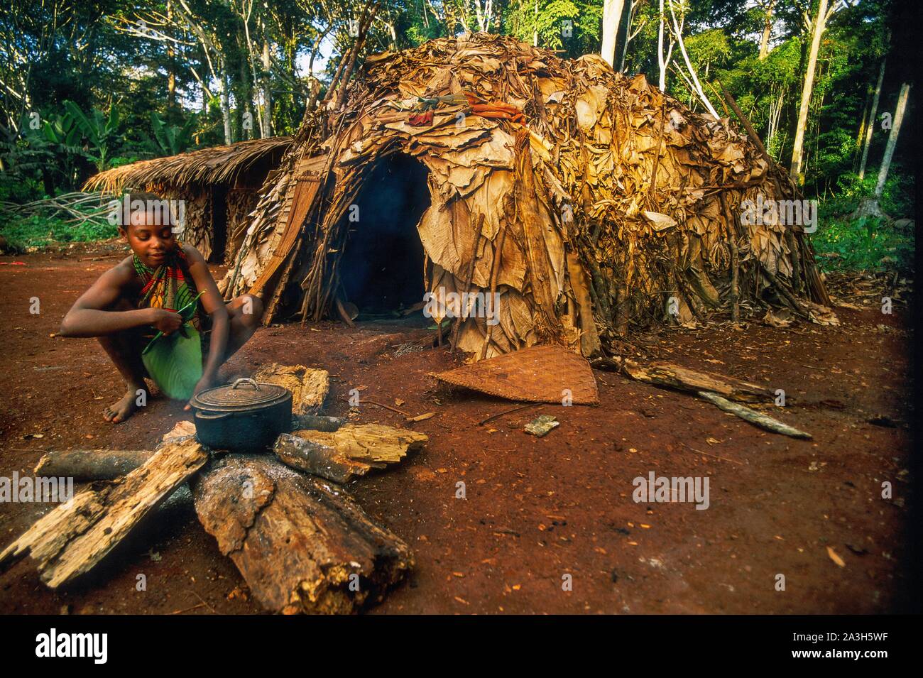 Pygmies honey hi-res stock photography and images - Alamy