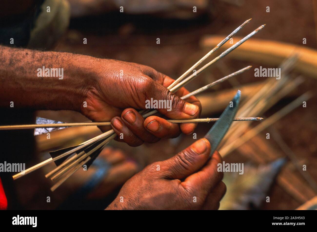 Congo, East, Lobeke, Baka men hunt and trap in the surrounding forest ...