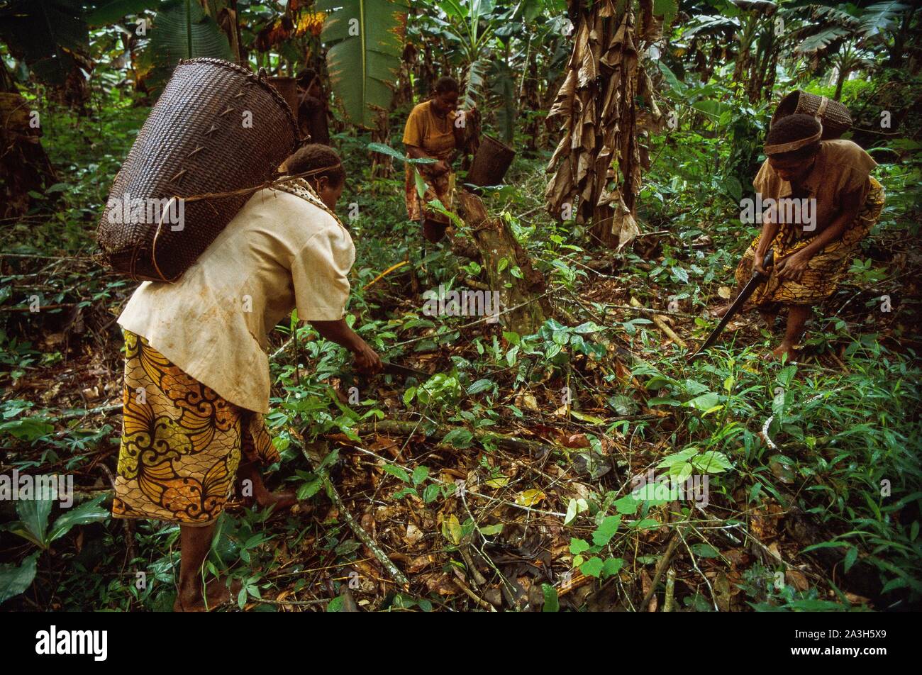 Baka pygmy woman hi-res stock photography and images - Alamy