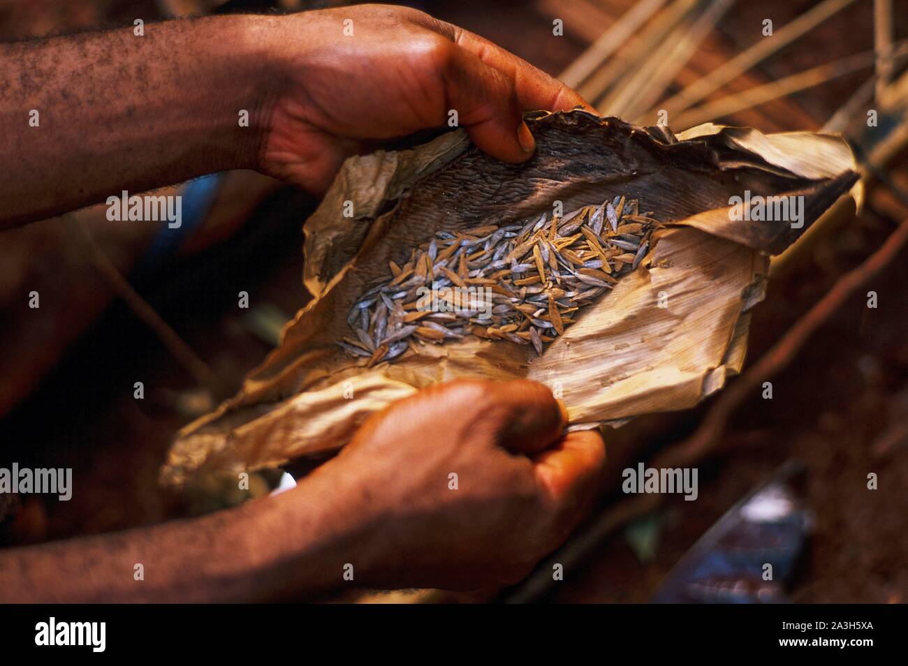 Baka tree hi-res stock photography and images - Alamy