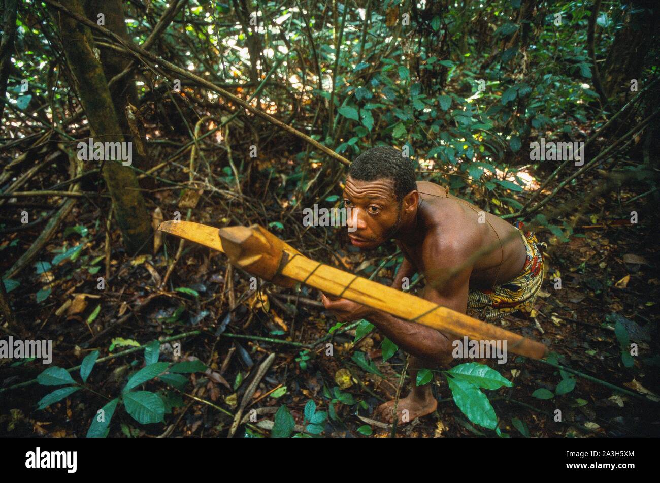 Congo, East, Lobeke, Baka men hunt and trap in the surrounding forest ...