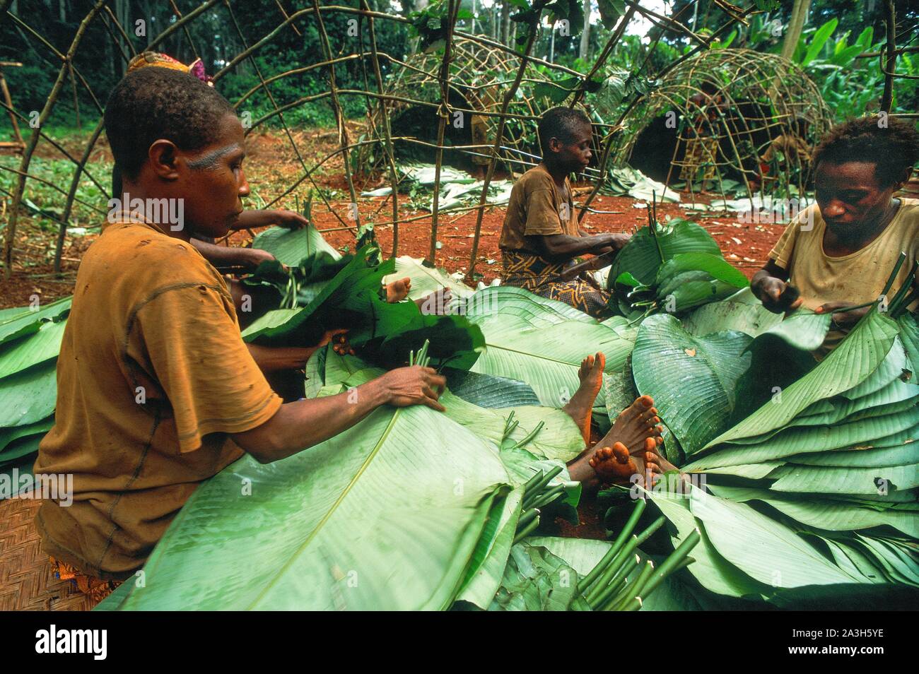 Pygmies congo hi-res stock photography and images - Alamy