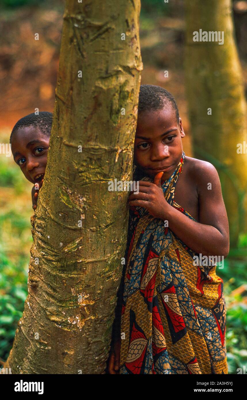 Congo basin deforestation hi-res stock photography and images - Alamy