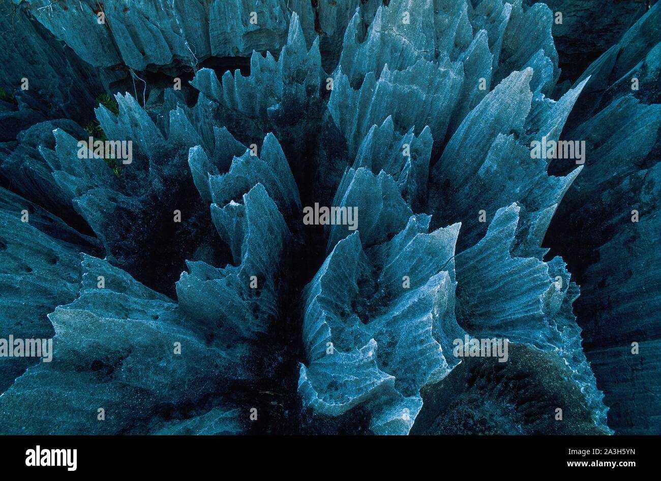 Madagascar, Melaki, Tsingy National Park of Bemaraha, Tsingy, are ...