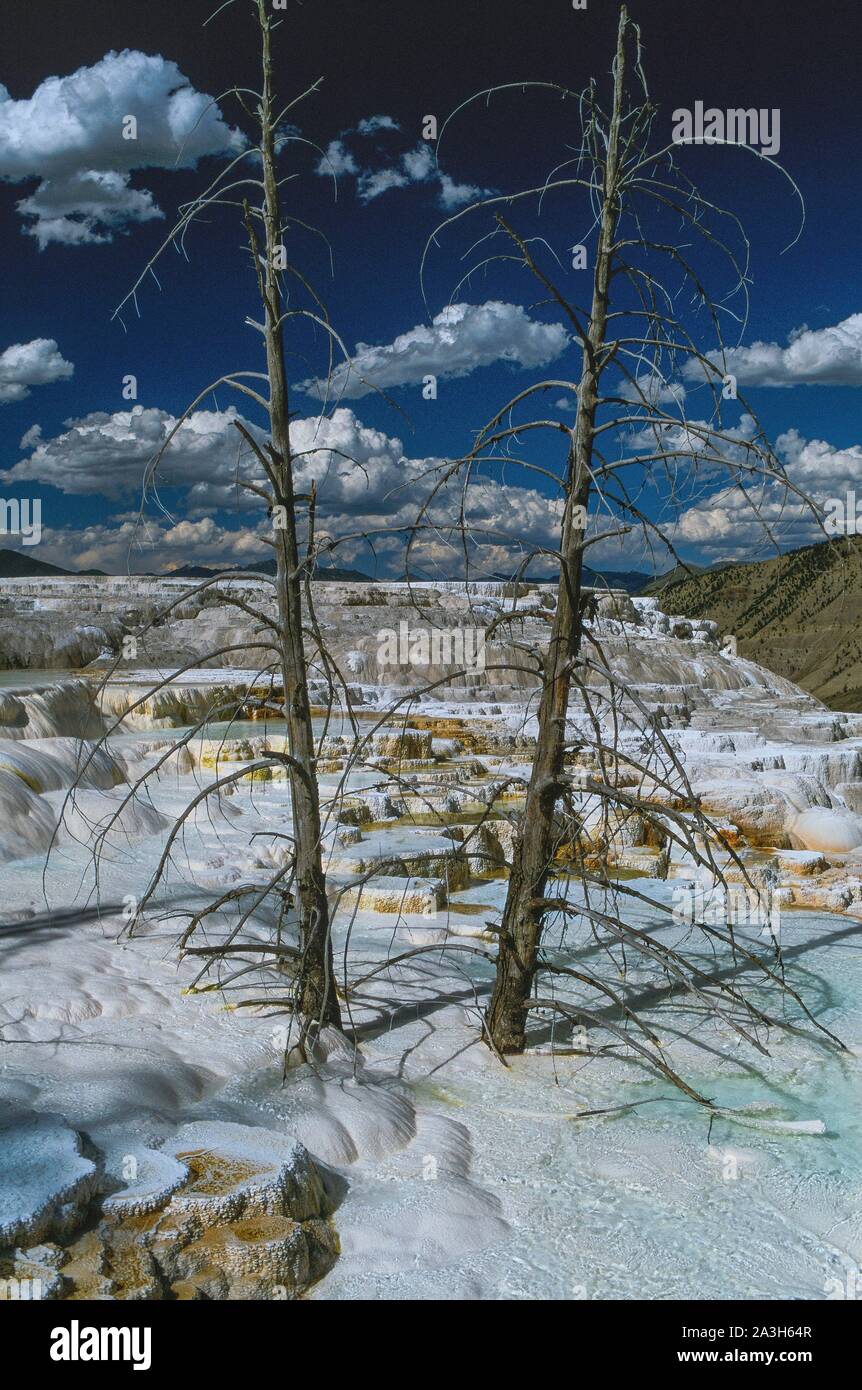 Yellowstone travertin hi-res stock photography and images - Alamy
