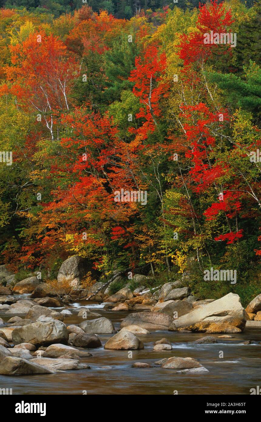 United States, New hampshire, White Mountains State Park, White ...