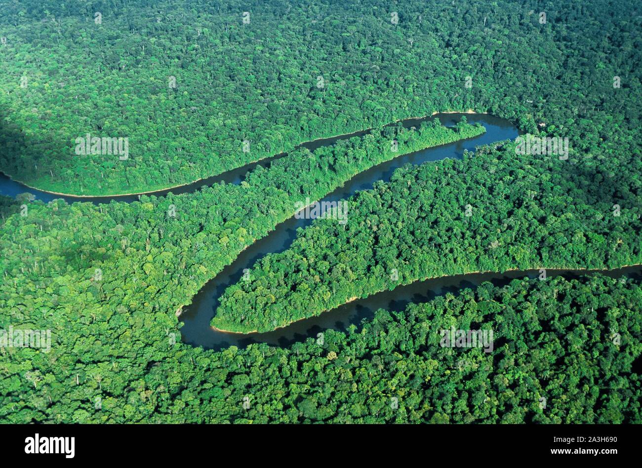France, French Guiana, River in the Amazonian forest from the sky ...