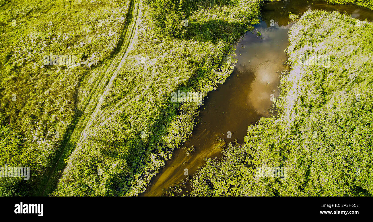 The mysterious river Grabia on a summer day, Poland, 2019 Stock Photo ...