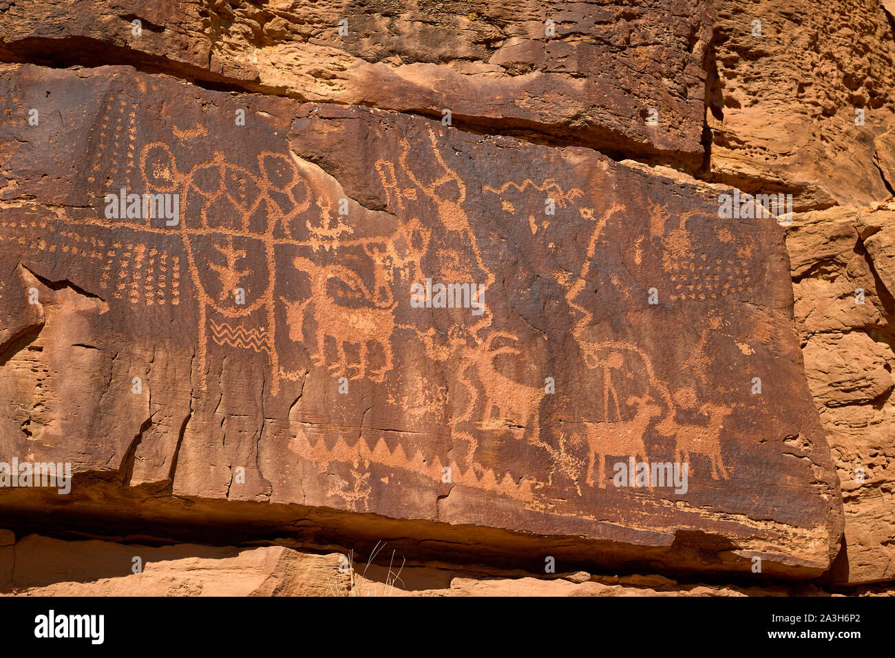 Native American Rock Art in Nine-mile Canyon, Utah, USA Stock Photo - Alamy