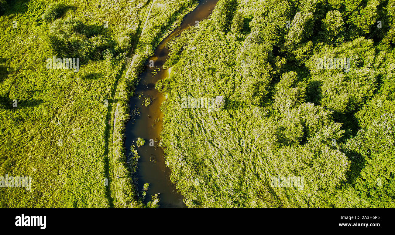 The mysterious river Grabia on a summer day, Poland, 2019 Stock Photo ...