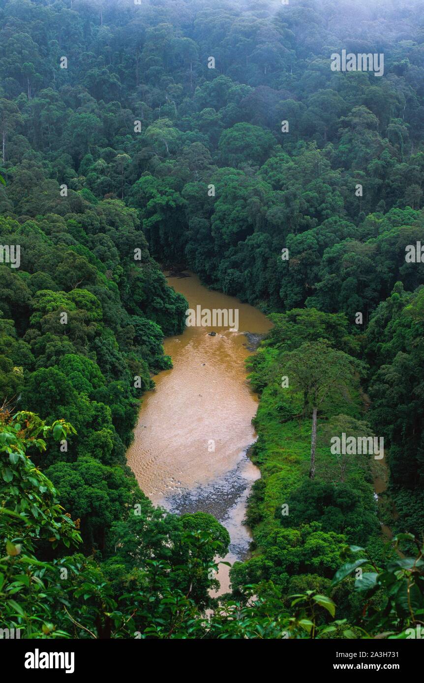 Malaysia, Borneo, Danum Valley, Danum Valley Conservation Area Stock ...