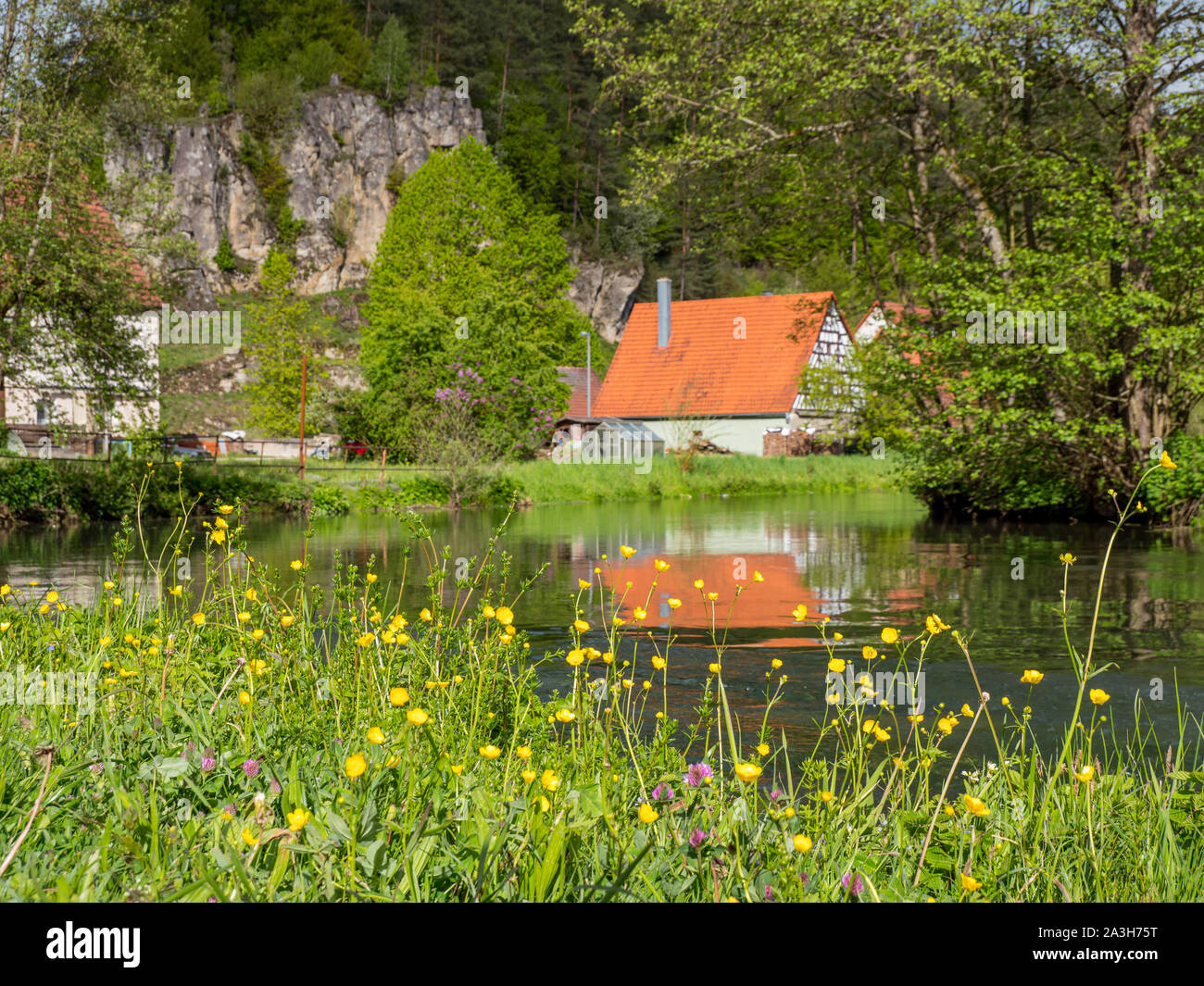 In the Pegnitz Valley in the Franconian Switzerland Stock Photo - Alamy
