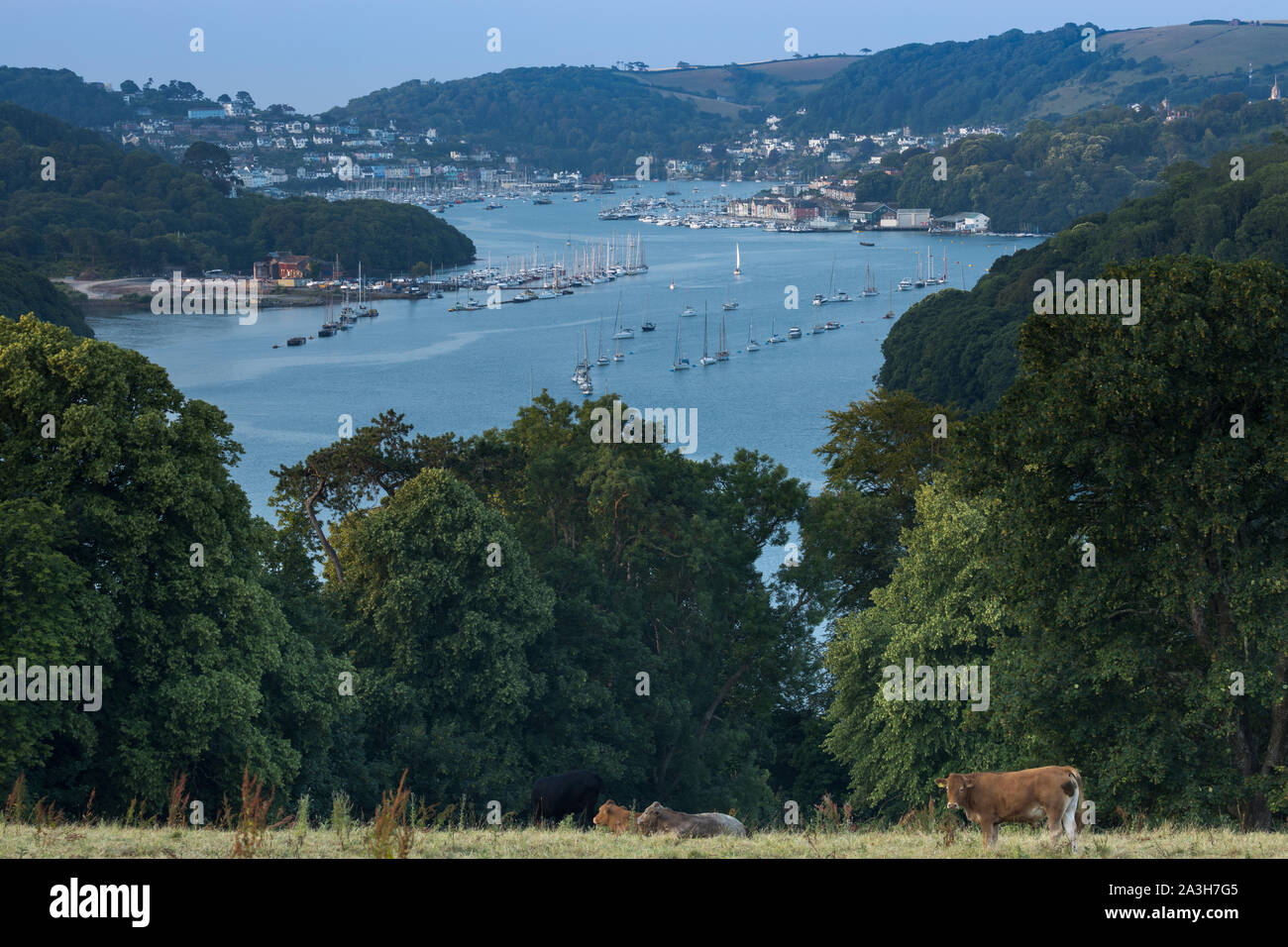 Kingswear, Dartmouth and the Dart Estuary from Greenway, Devon, England ...