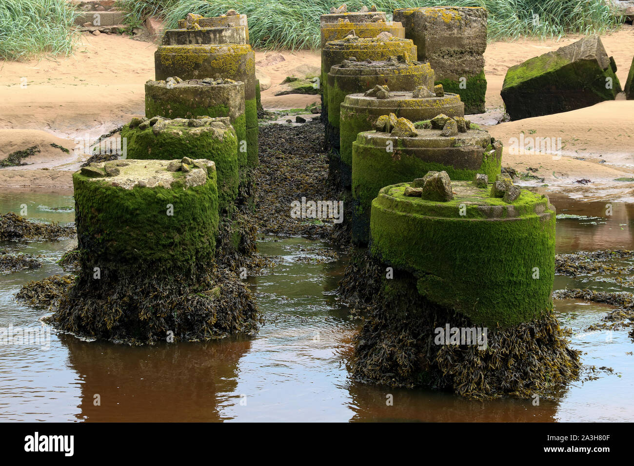 Wartime coastal defence structures in a Scottish river Stock Photo - Alamy