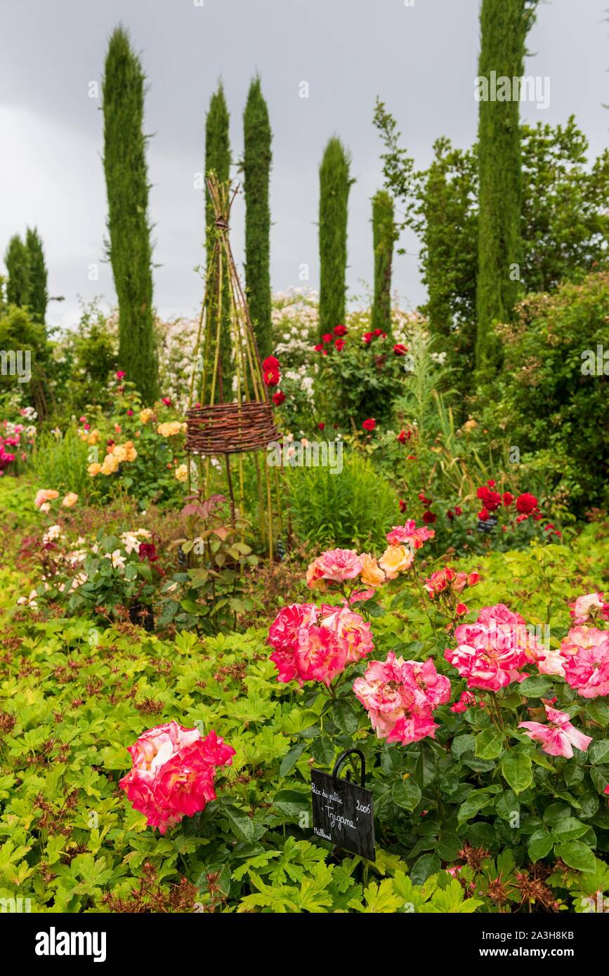 France, Loiret, Orleans, Parc floral de la Source, garden, roses Stock ...