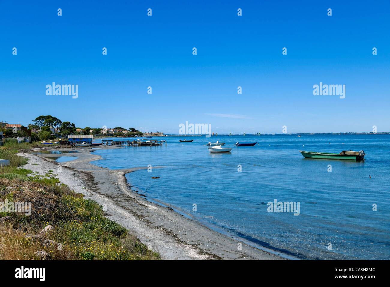 France, Herault, Sete, Thau lagoon, edge of the pond in the Barrou ...