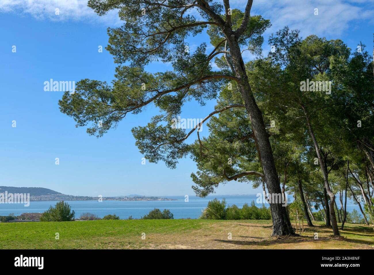 Thau lagoon hi-res stock photography and images - Alamy