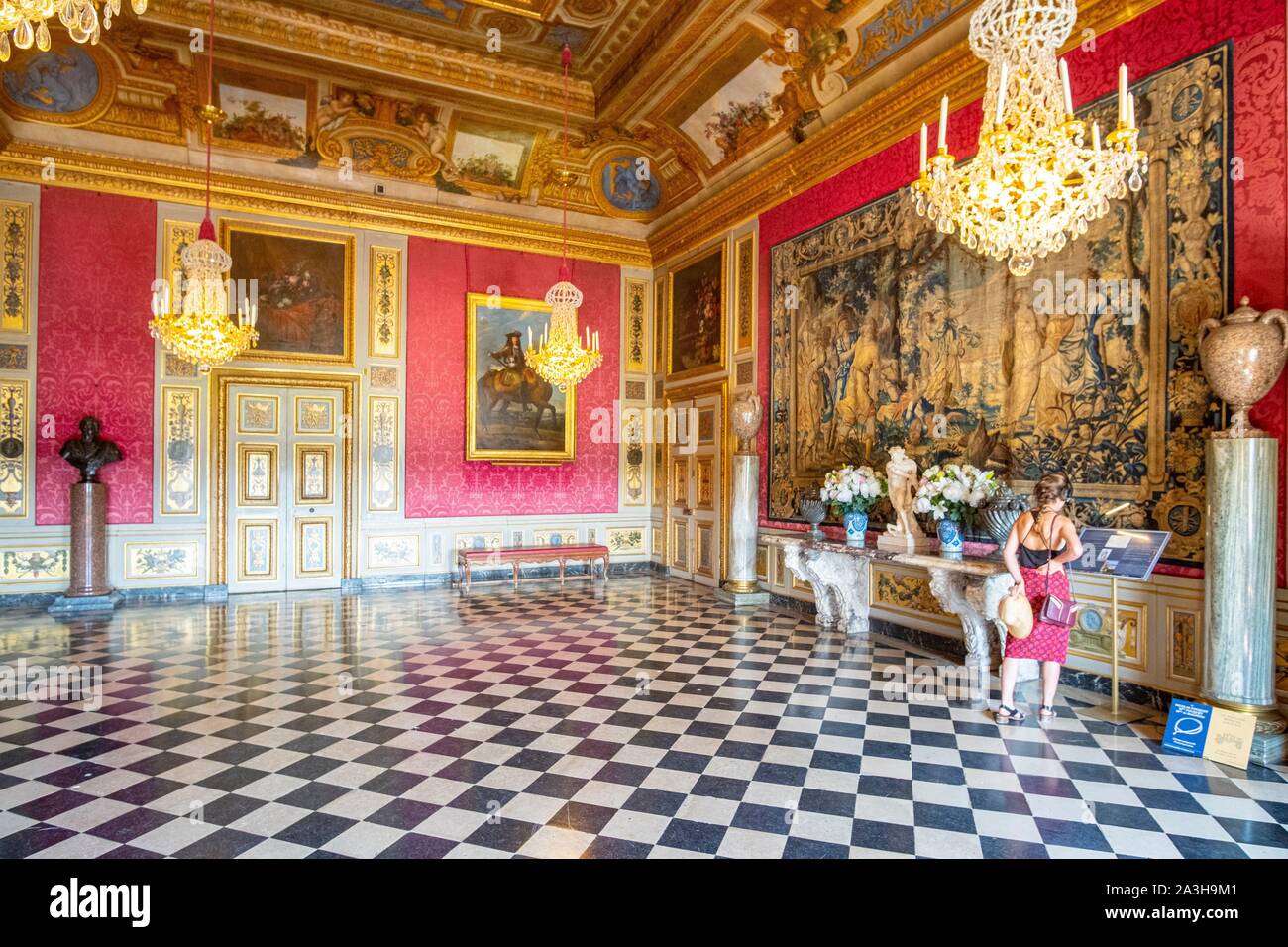 France, Seine et Marne, Maincy, the castle of Vaux le Vicomte ...