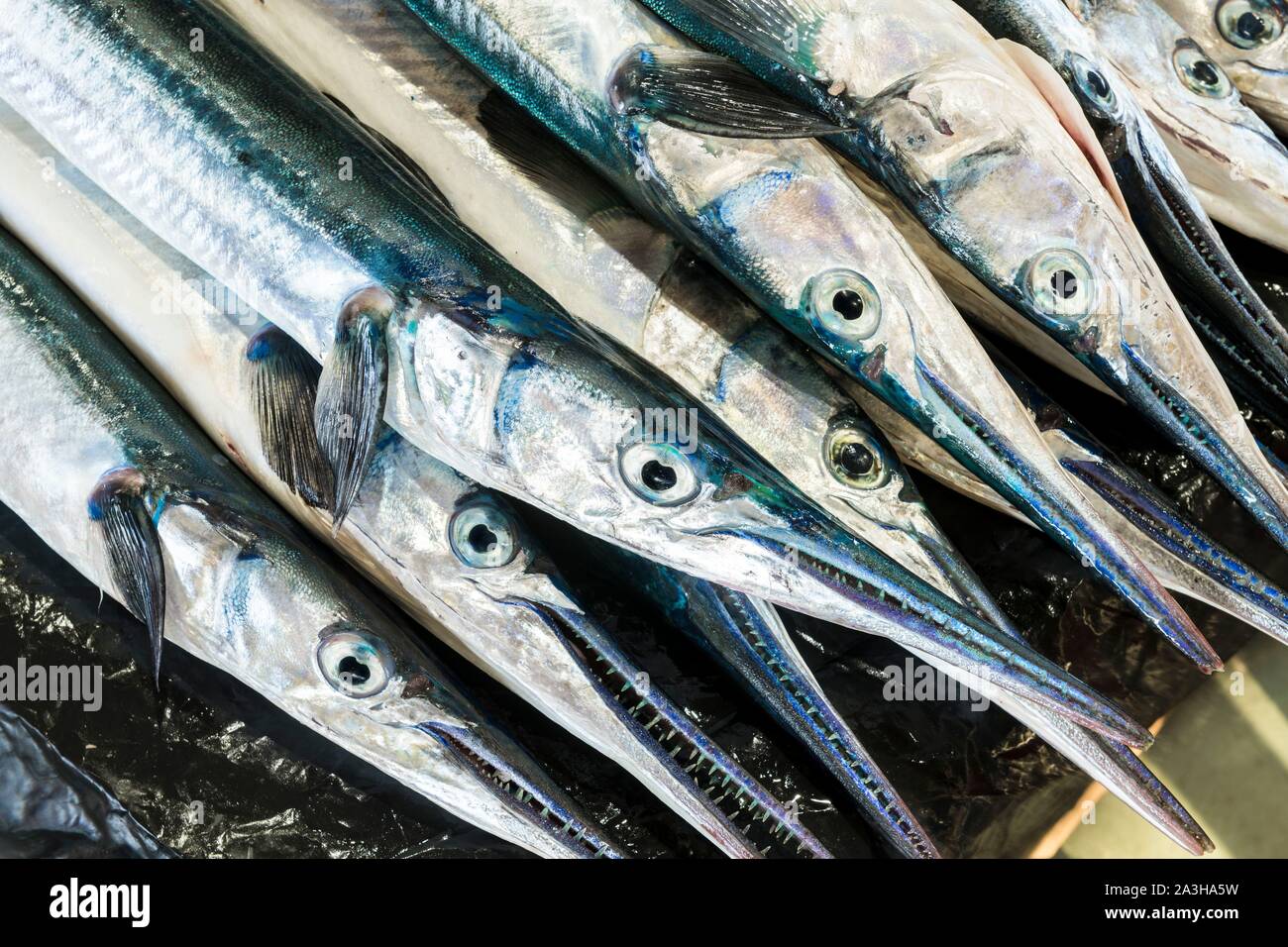 Papua-New-Guinea, National Capital District, Port Moresby, Koki ...