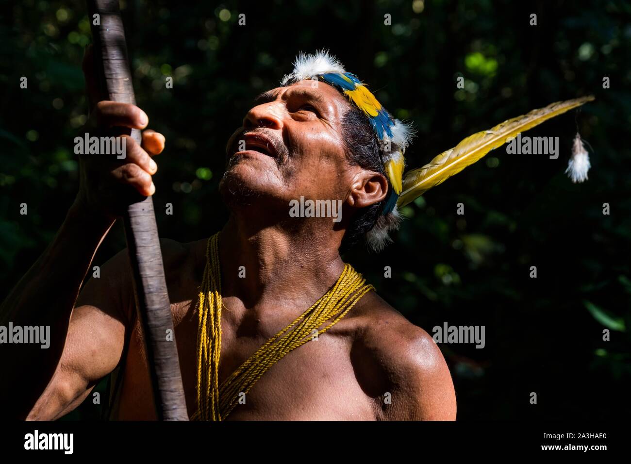 Ecuador, Tena, immersion life experience with the Waoranis of the Rio ...