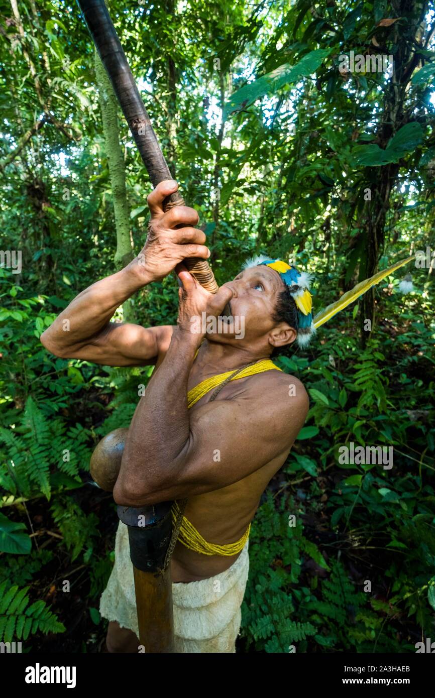 Waoranis hi-res stock photography and images - Alamy