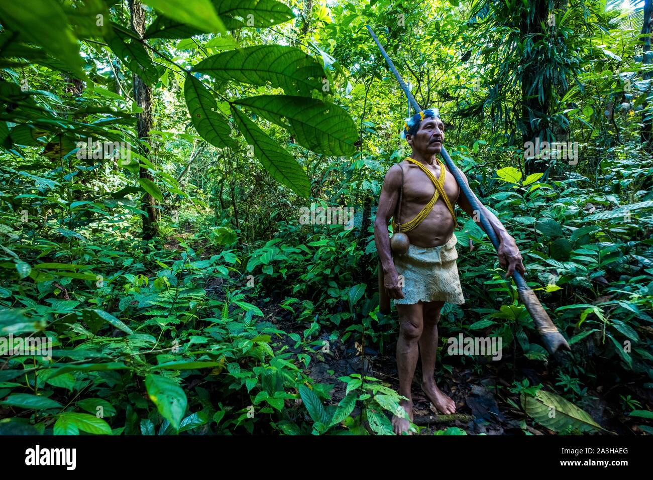 Ecuador, Tena, immersion life experience with the Waoranis of the Rio ...