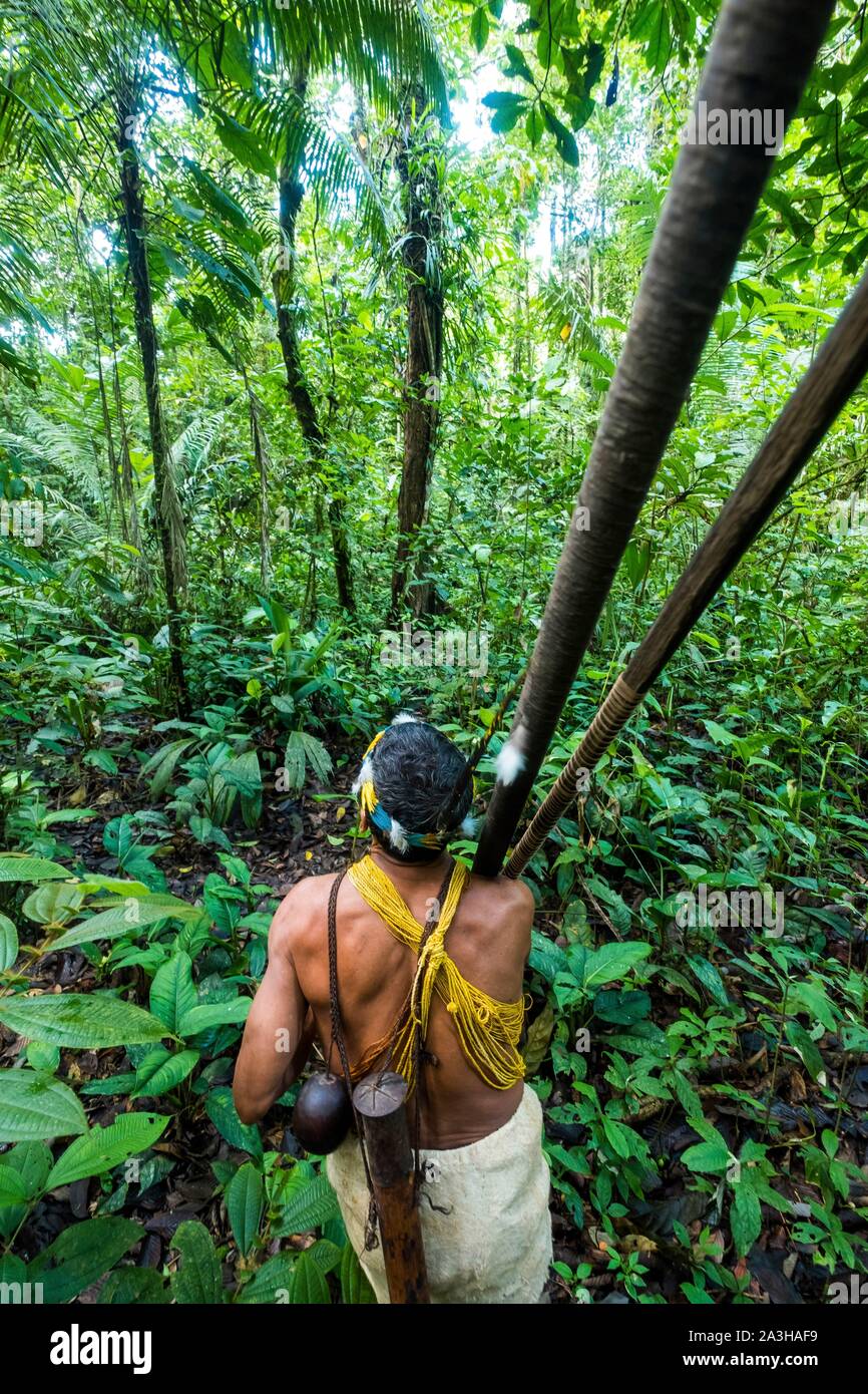 Ecuador, Tena, immersion life experience with the Waoranis of the Rio ...
