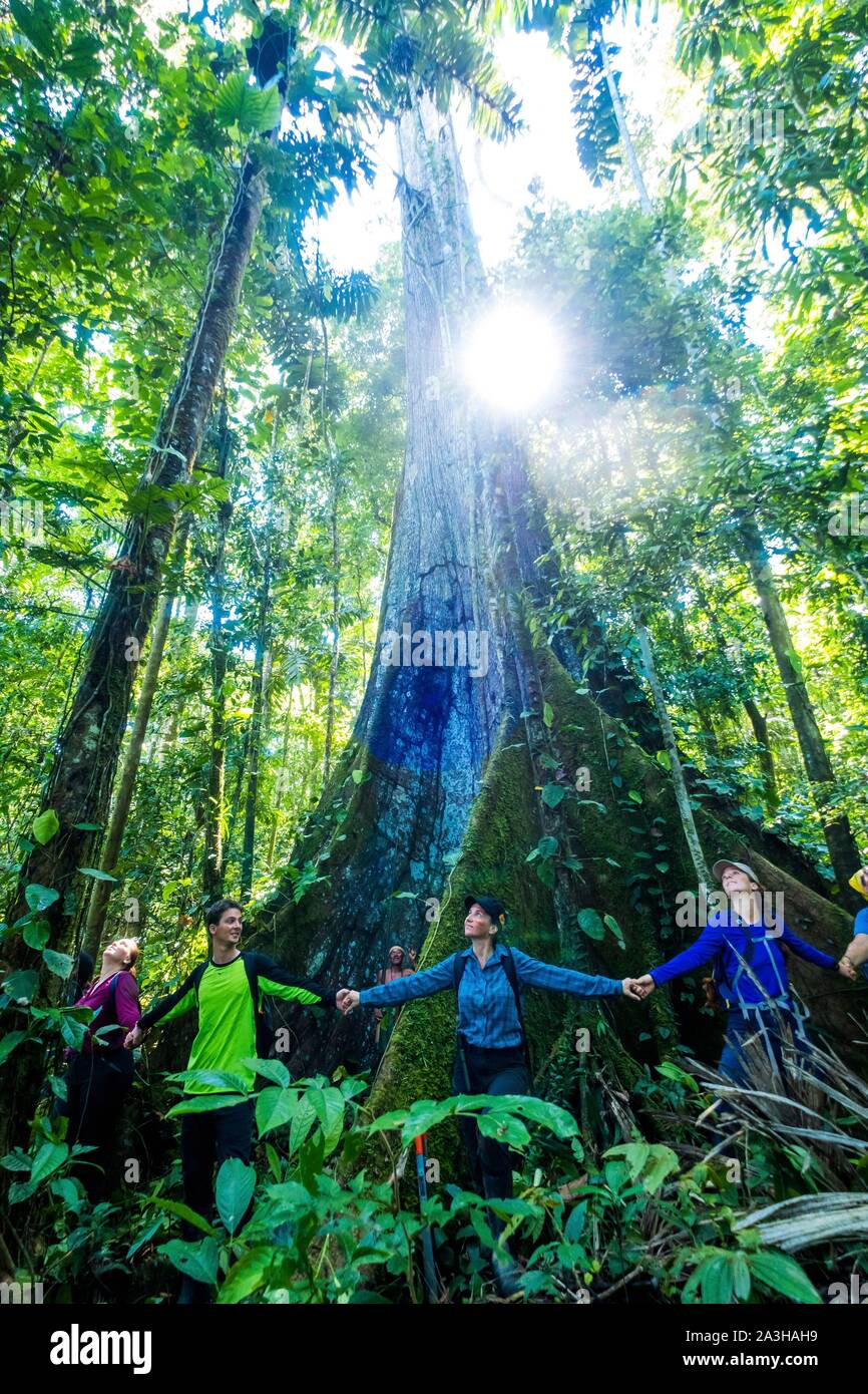 Ecuador, Tena, immersion life experience with the Waoranis of the Rio ...