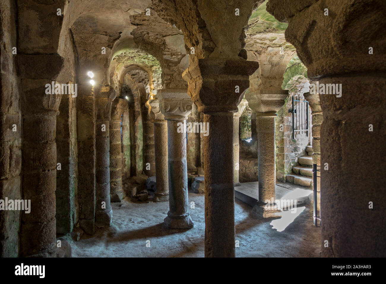 Columns in the 12th century Romanesque crypt under the St Vincent's ...