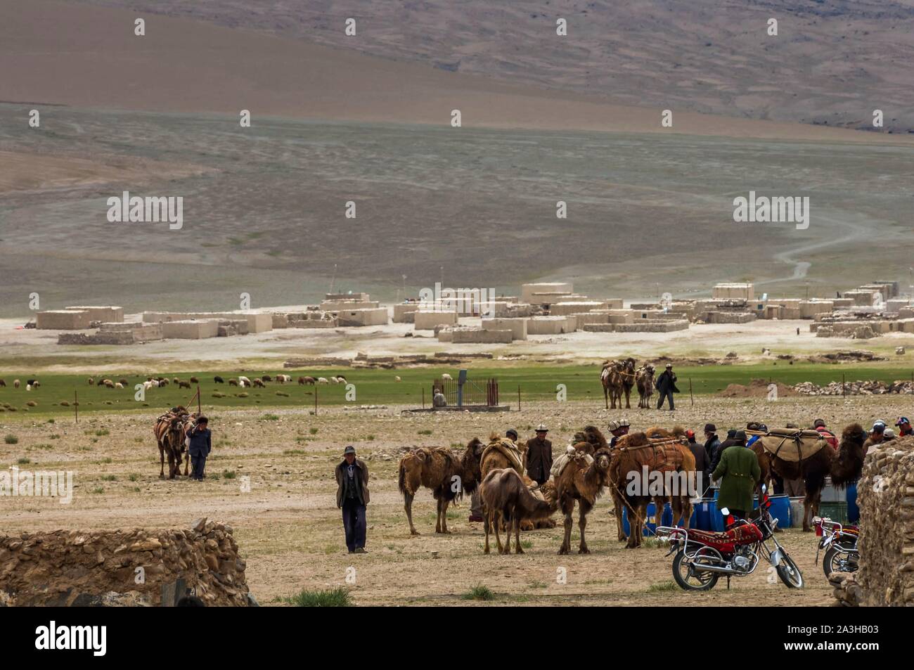 China, Xinjiang autonomous region, Pamir highlands, pastures and semi ...