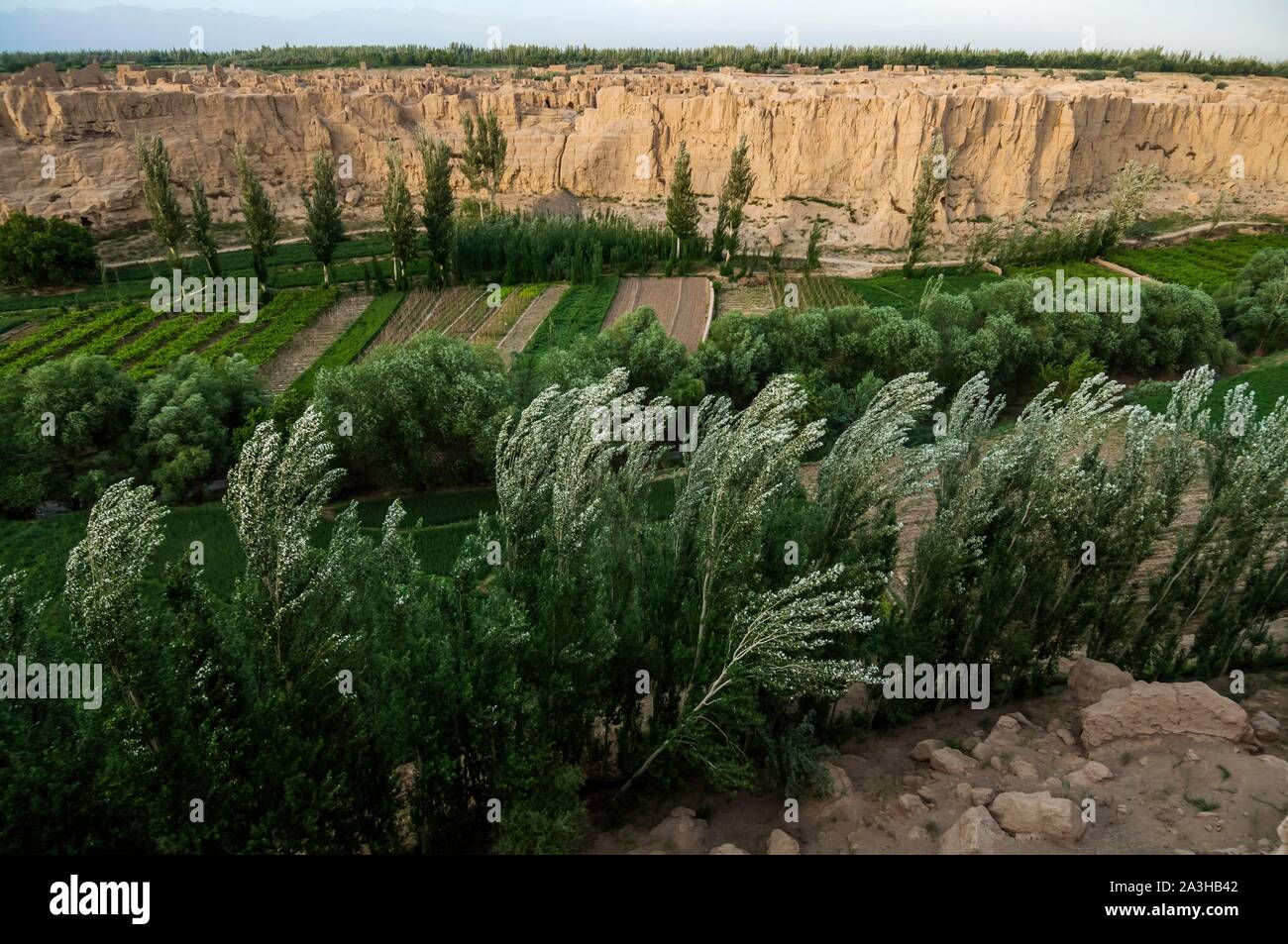 Turfan China High Resolution Stock Photography and Images - Alamy