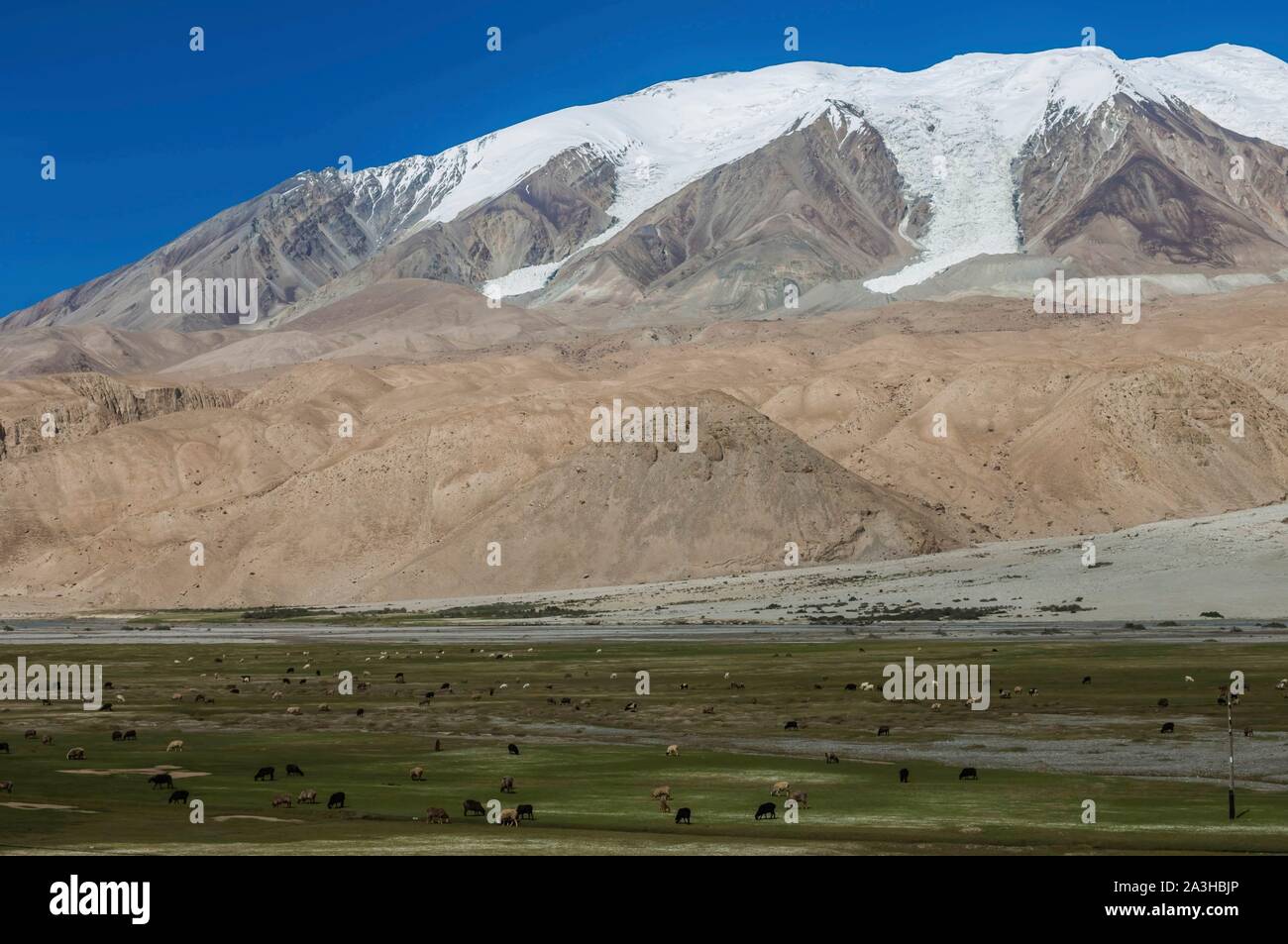China, Xinjiang autonomous region, Pamir highlands, pastures and semi ...