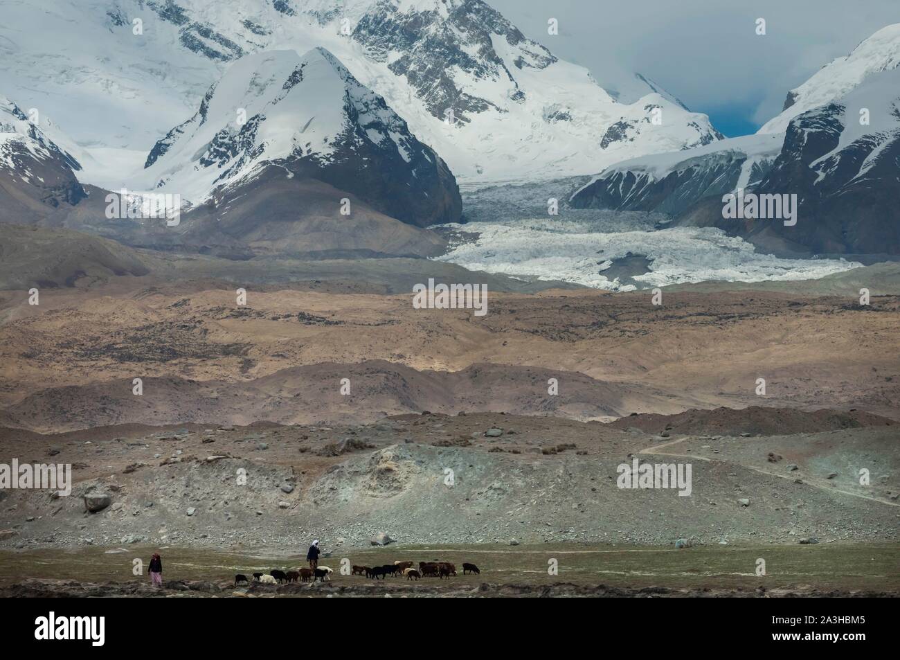China, Xinjiang autonomous region, Pamir highlands, pastures and semi ...