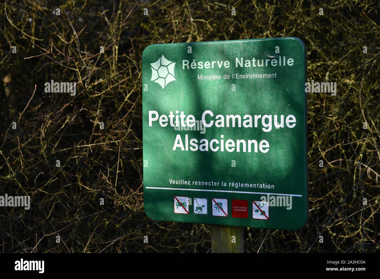 France, Haut Rhin, Saint Louis, information panel nature reserve of the ...