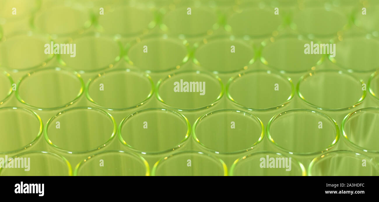 Close up of clean test glasses in chemistry or science laboratory Stock ...