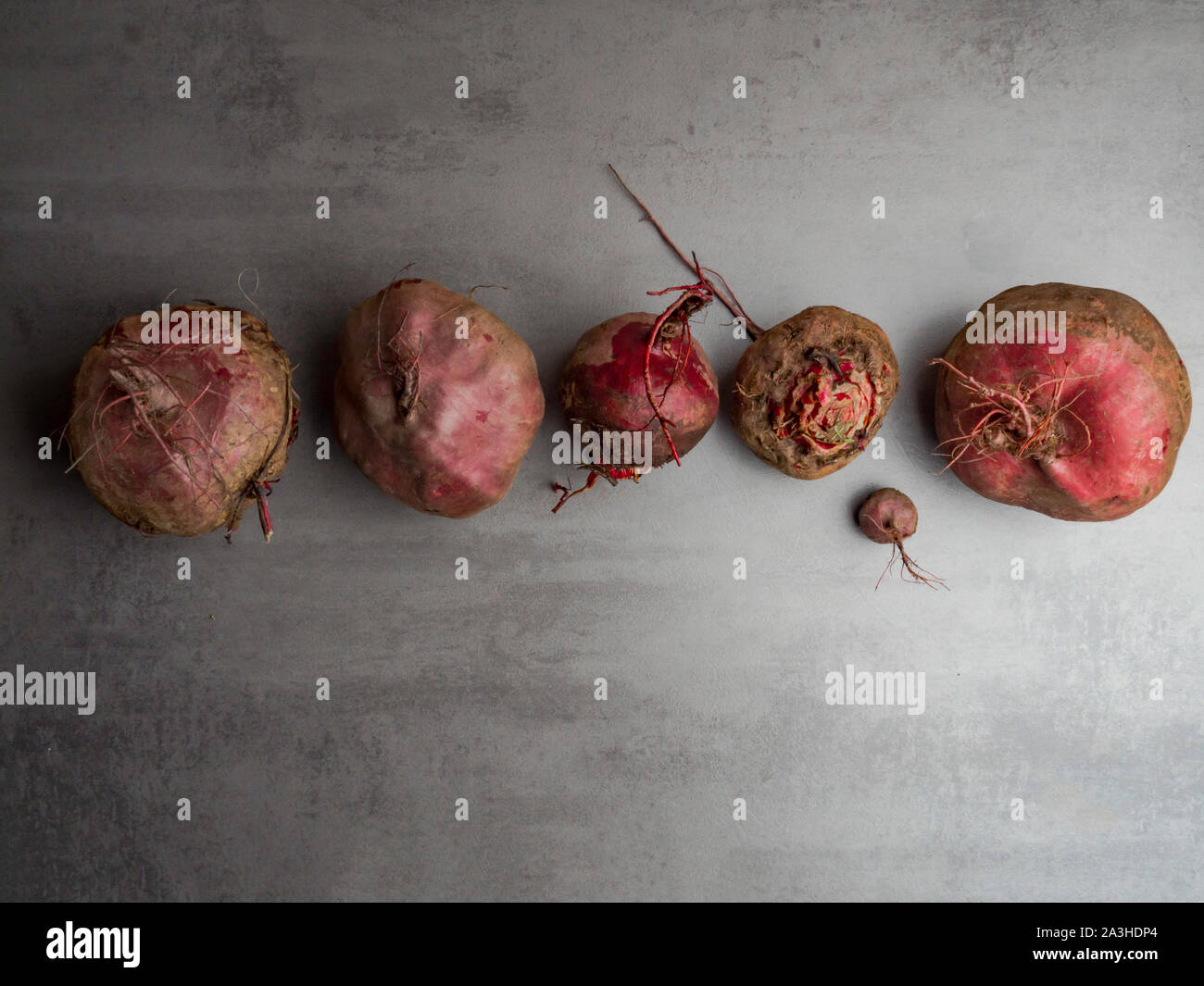 The purple organic Beets roots on grey concrete table, copy space Stock ...