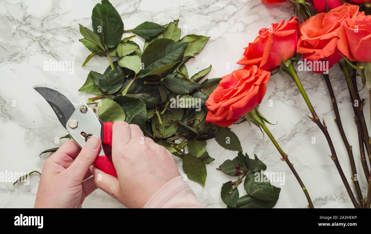 Florist running red roses hi-res stock photography and images - Alamy