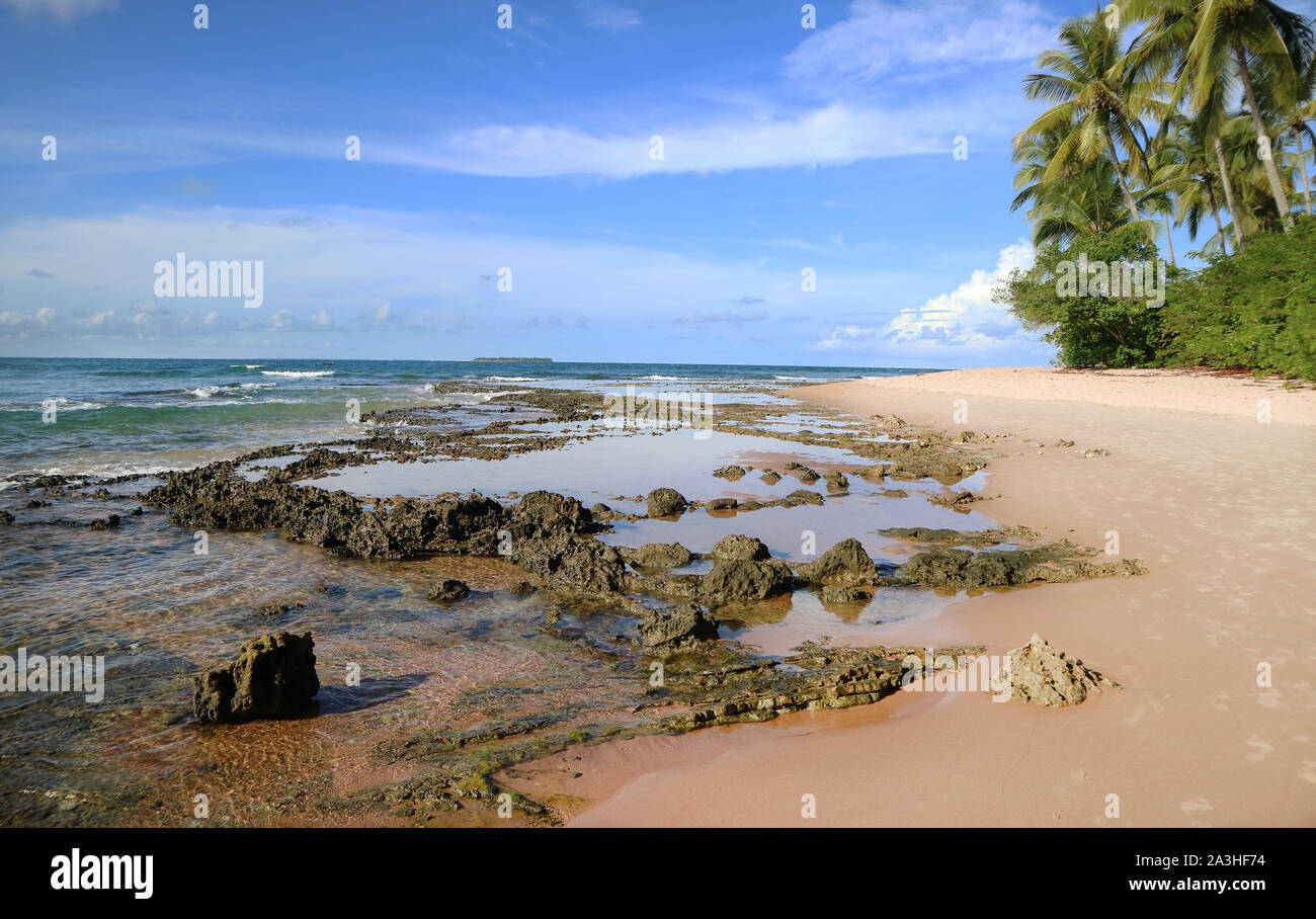 Tropical beach background. Brazilian beach in Bahia Stock Photo - Alamy