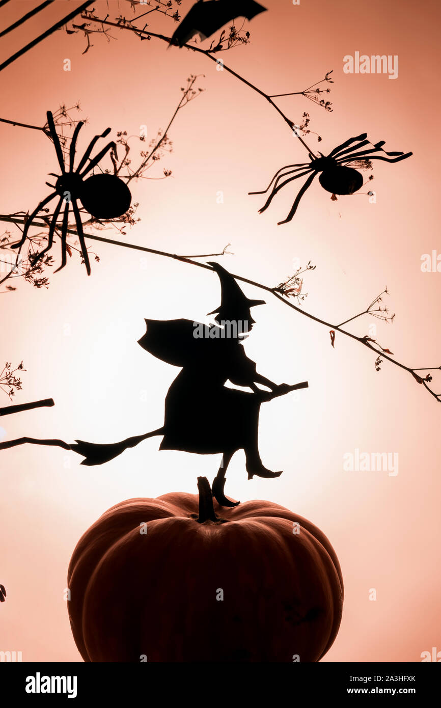 Black sabbath back to the hi-res stock photography and images - Alamy