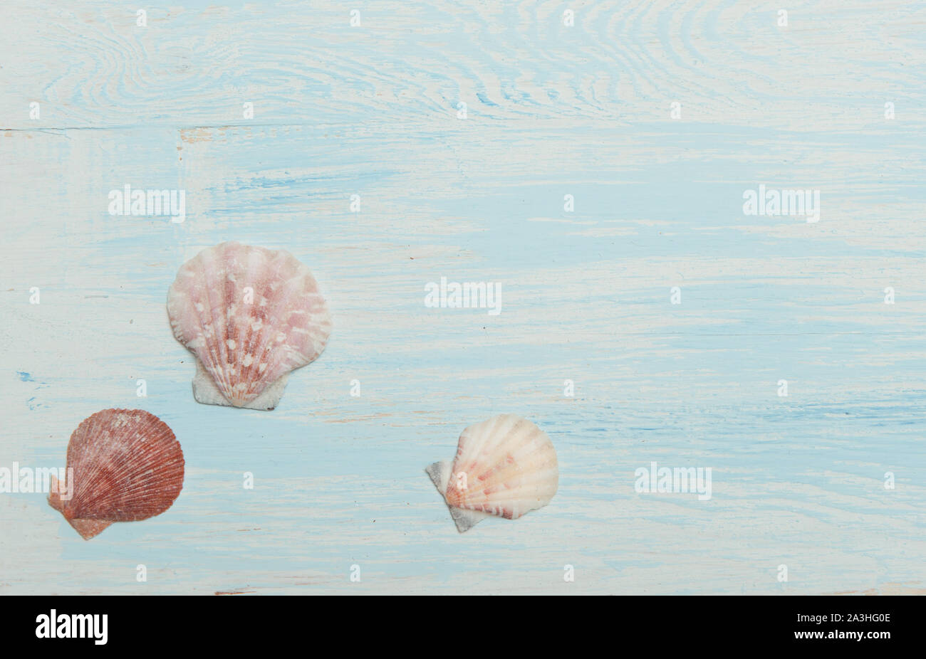 Sea background with painted blue paint wood, shells Stock Photo - Alamy