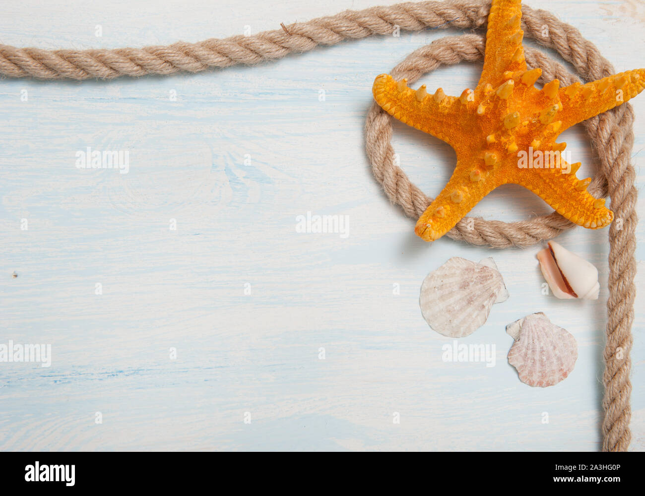 Sea background with painted blue paint wood, rope, starfish, shells ...