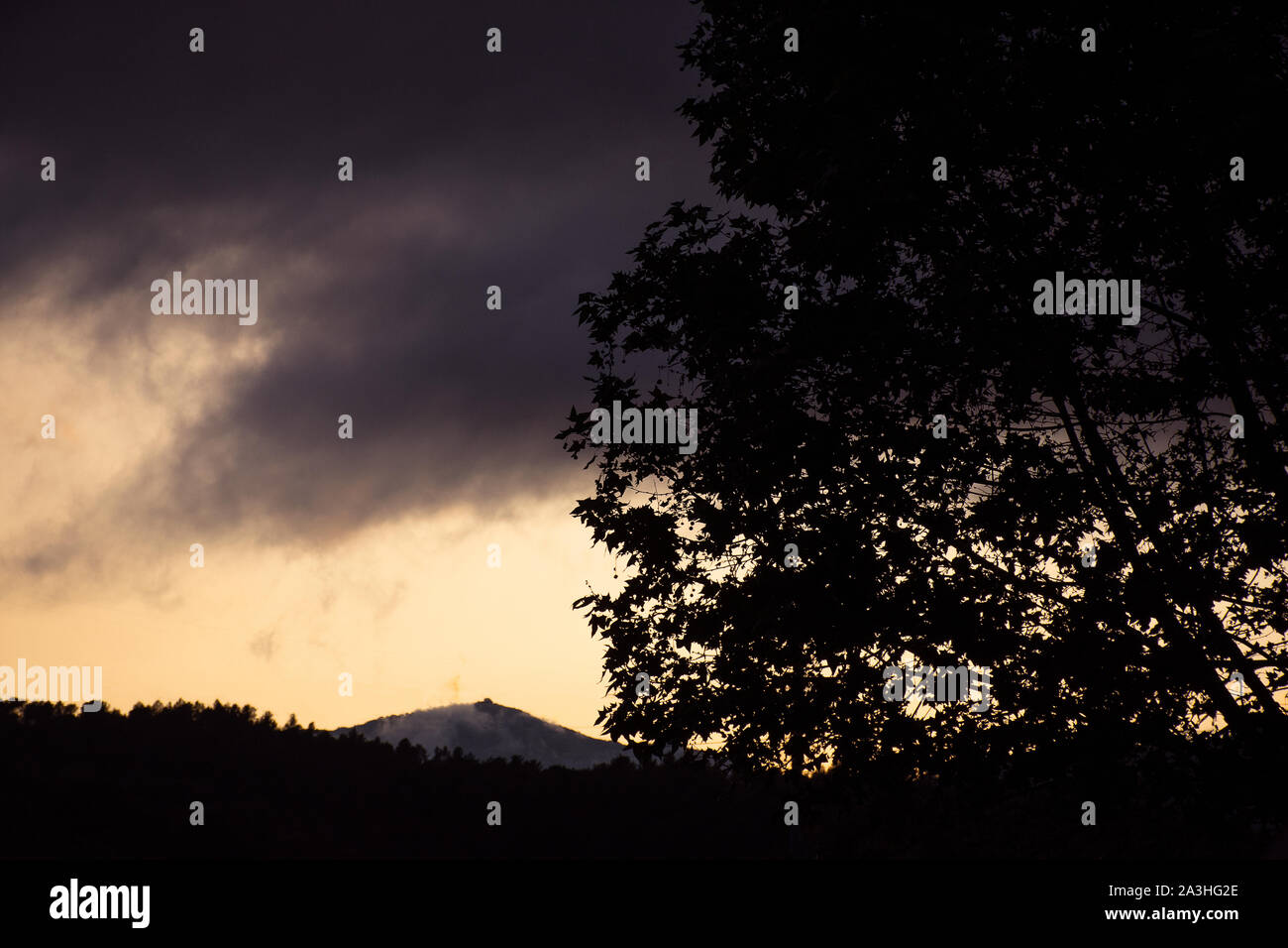 Tree by night and by day in a meadow hi-res stock photography and ...