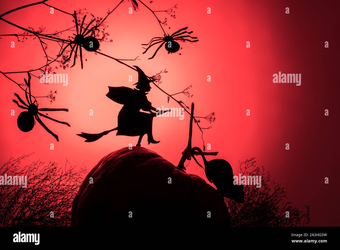 Witch flies on the Sabbath. Creative trendy Halloween background with a ...